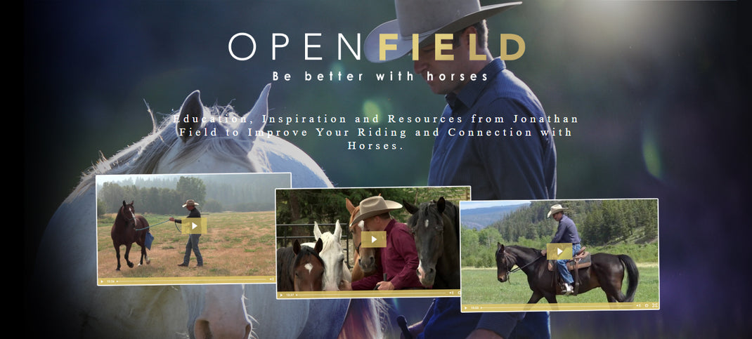Jonathan Field Horsemanship